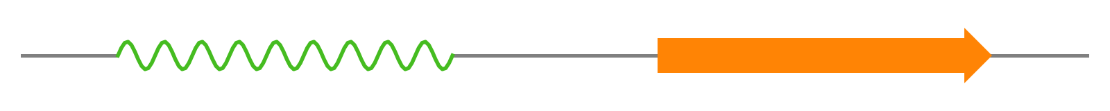 Three Ways To Get The Secondary Structure Of A Protein — Biotite